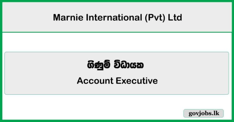 Account Executive - Marnie International (Pvt) Ltd Job Vacancies 2026 ...