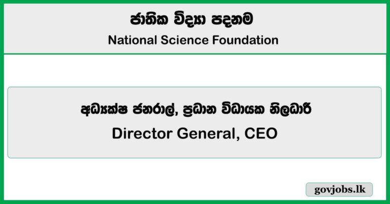 Director General, CEO – National Science Foundation Job Vacancies 2025 ...