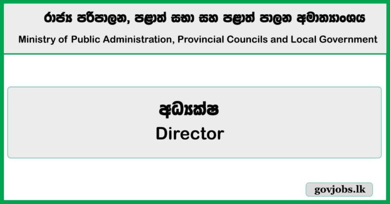 Director - Ministry of Public Administration, Provincial Councils and ...