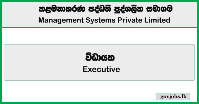 Executive – Management Systems Private Limited Job Vacancies 2025 ...