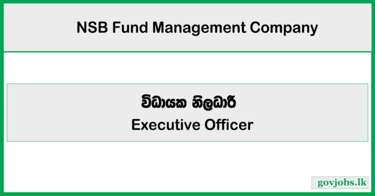 Executive Officer – NSB Fund Management Company Job Vacancies 2025 ...