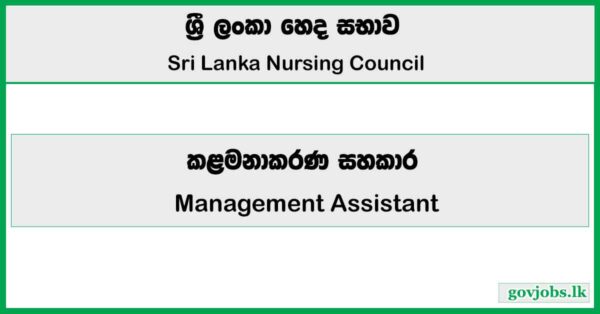Management Assistant - Sri Lanka Nursing Council 2026 Job Vacancies ...