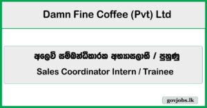 Sales Coordinator Intern, Trainee Damn Fine - Coffee (Pvt) Ltd Job ...